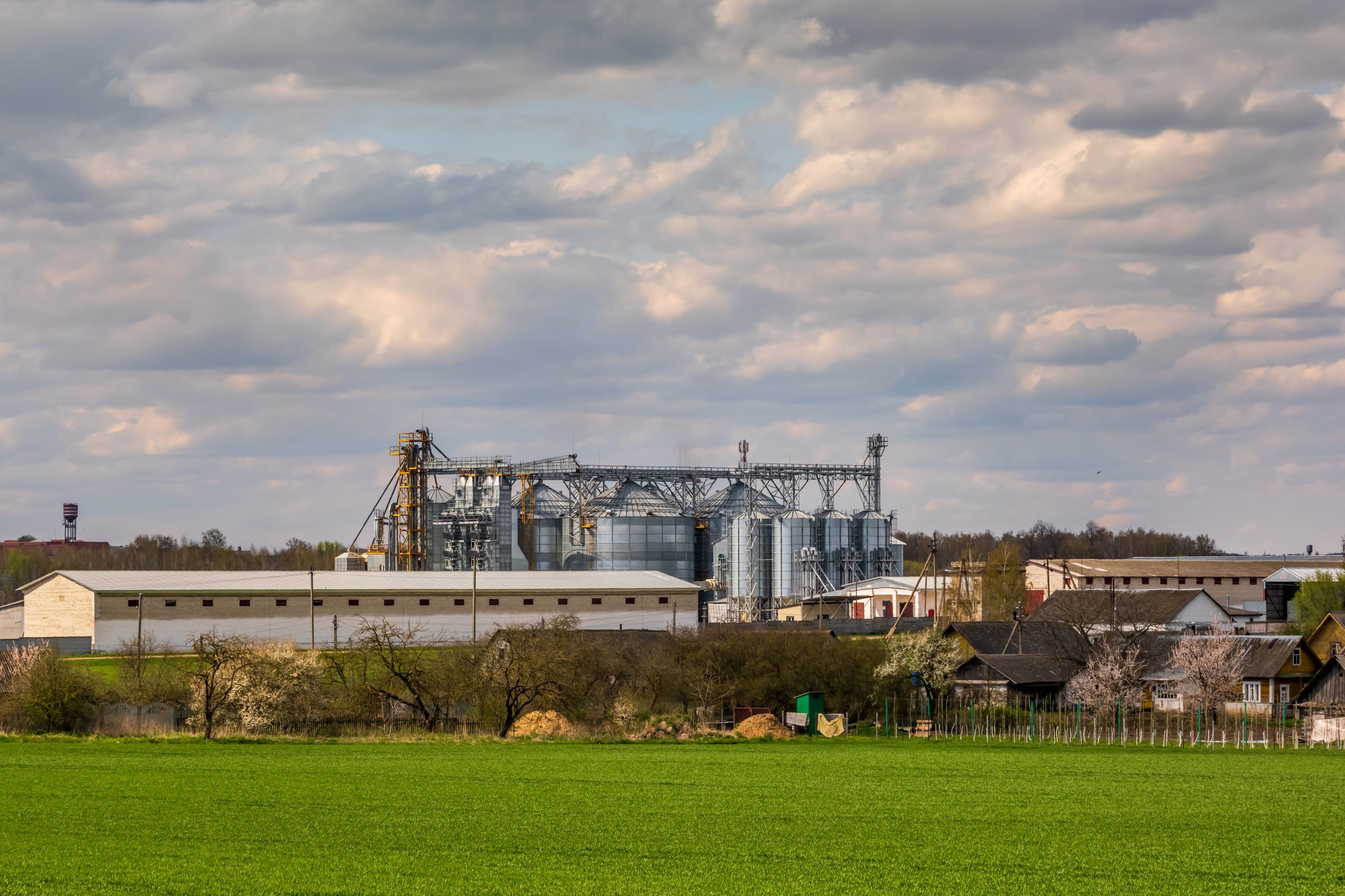 Instant Loading Canopies for Northern Sites | Lauralu